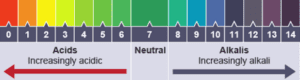 Understanding Acids And Alkalis: PH Scale Explained