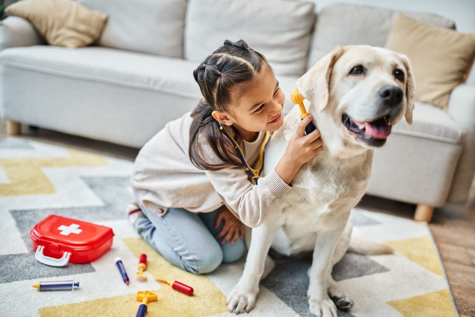 Essential First Aid For Animals |Tips & Tricks For Emergencies